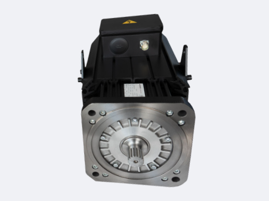 Brusatori Motor Repair - Alpha Electrics
