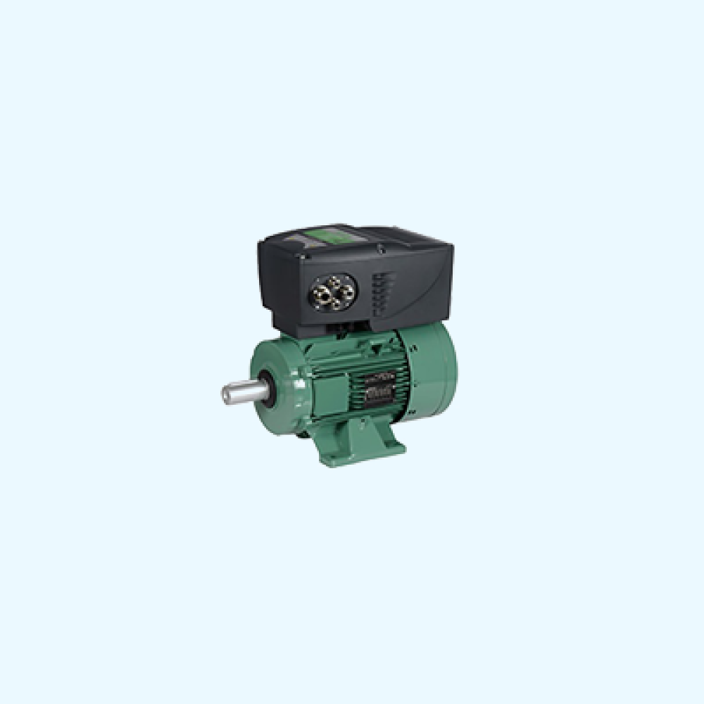 Brake Induction Motors Leroy-Somer - Alpha Electrics