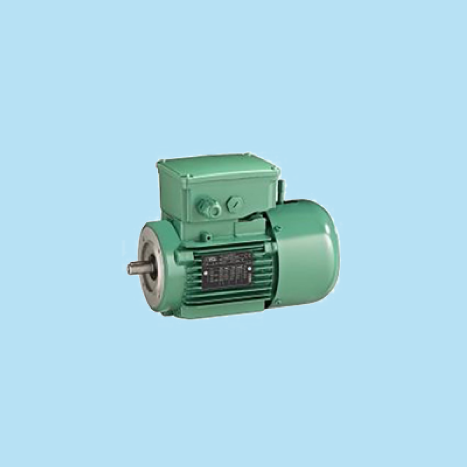 Brake Induction Motors Leroy-Somer - Alpha Electrics