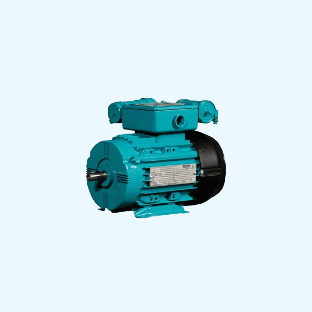 Single Phase Brook Crompton Safe Area Motor | Alpha Electrics